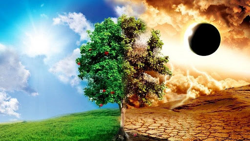 EL VIEN Y EL MAL - MUNDO DEL TAO